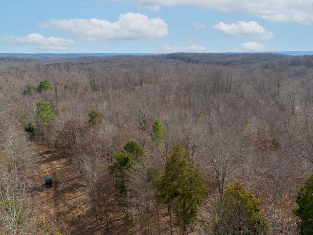 1 Olde Tennessee Trail
