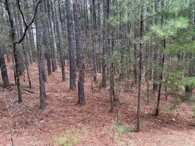 1 ATAJAR PL, HOT SPRINGS VILLAGE, AR 71909 Vacant Land For Sal.