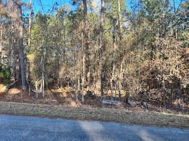 1 A Hickory Knob Dr, McCormick, SC 29835 | MLS #98254 | Compass