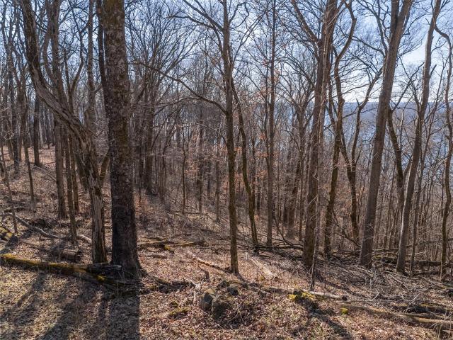 1 AC Back Ranch Dr