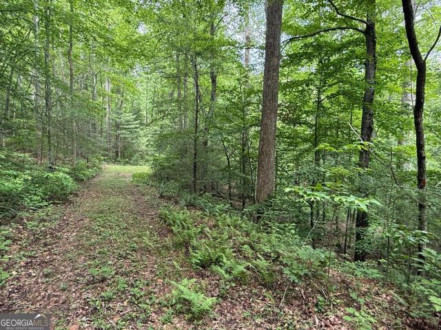1 AC Spiva Cove Circle