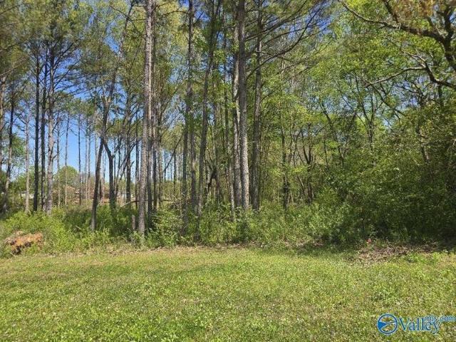 1 Acre Beaver Run Drive, Toney, AL 35773 635663536