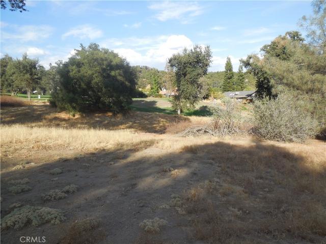 1 Acre Griffin Drive