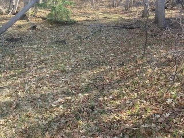 1 Acre Lot N Kiwi Ln Unit 102A, Kolob, UT 84767