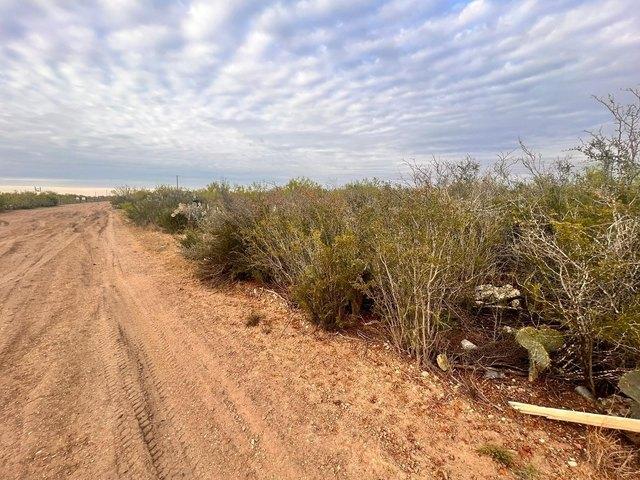 1 Acre Tract 17 Las Pilas Rd, Laredo, TX 78043