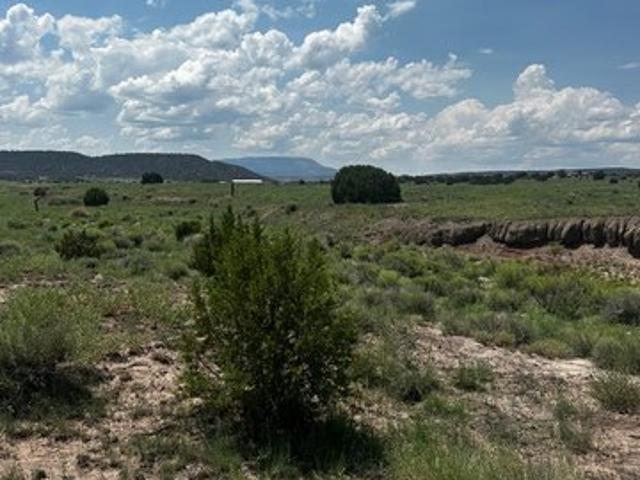 1 Airport, Quemado, NM 87829
