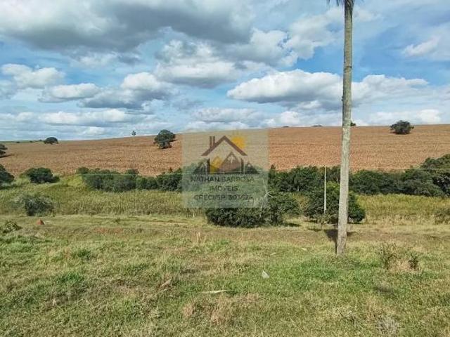 1 Alqueire Paulista Excelente oportunidade em Pardinho/SP!