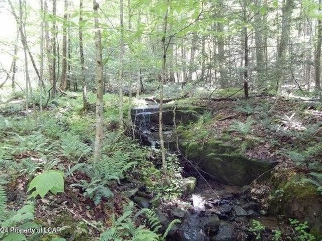 1 and 2 Sparrow Rd, Harveys Lake, PA 18618