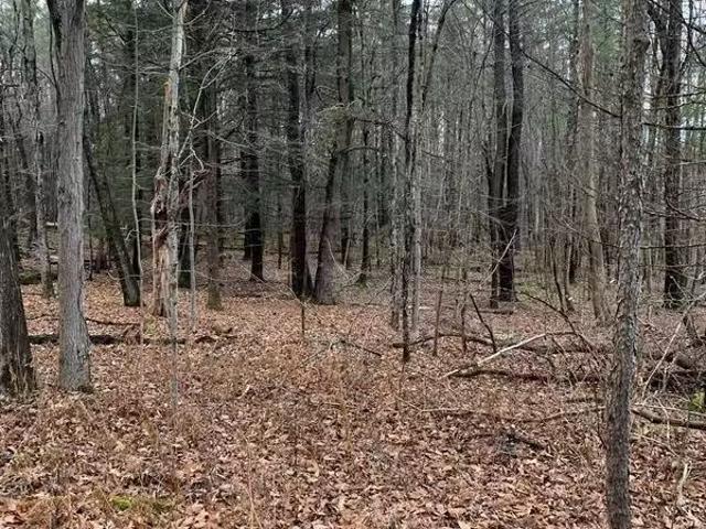 1 Ashley Hill Road, New Lebanon, NY 12125 644401151