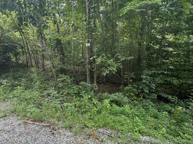 1 Buck Creek Circle