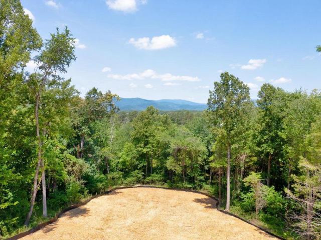 1 Buck Mountain Rd # LOT 1