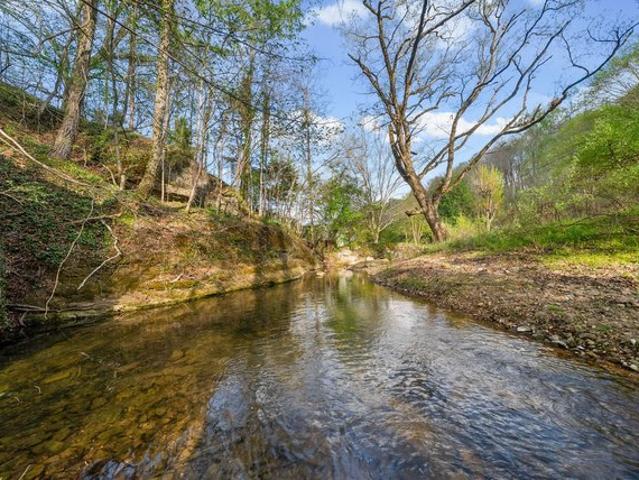 1 Bud Parker Ln, Erin, TN 37061