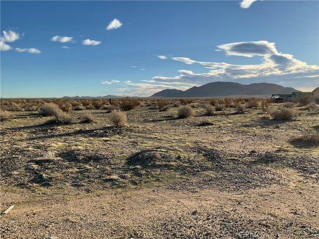 1 Buffalo Trl, Helendale, CA 92342