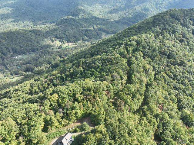 1 Burnt Leaf Ln, Hayesville, NC 28904 | MLS #424789