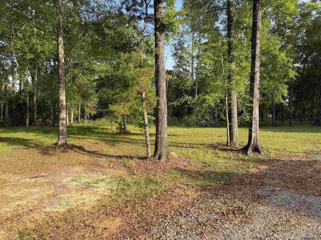 1 B 2 A 2 Clinton Allen Rd, Denham Springs, LA 70706