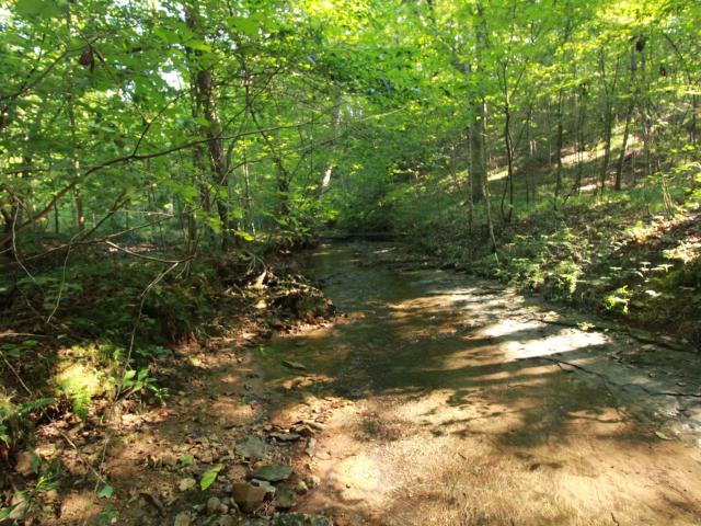 1 Bandy Rd, Ashland City, TN 37015 | MLS #3132