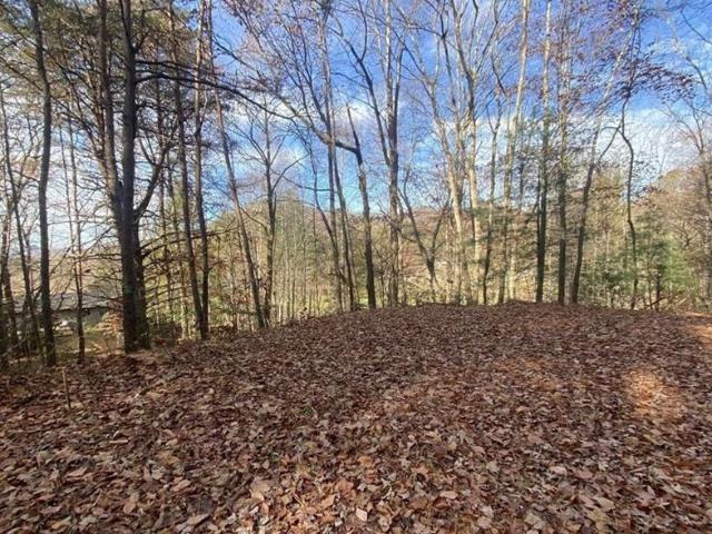 1 Barefoot Hill Rd, Hiawassee, GA 30546 | MLS #10755