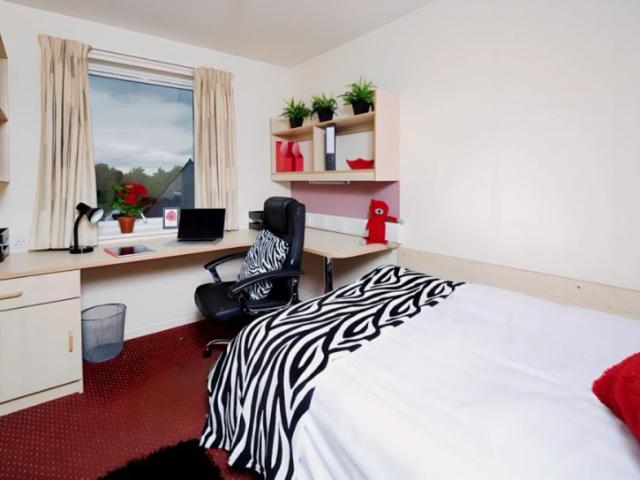1 Bed