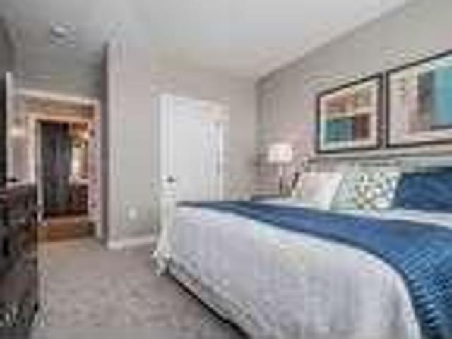 1 Bed 1 Bath $1371/mo