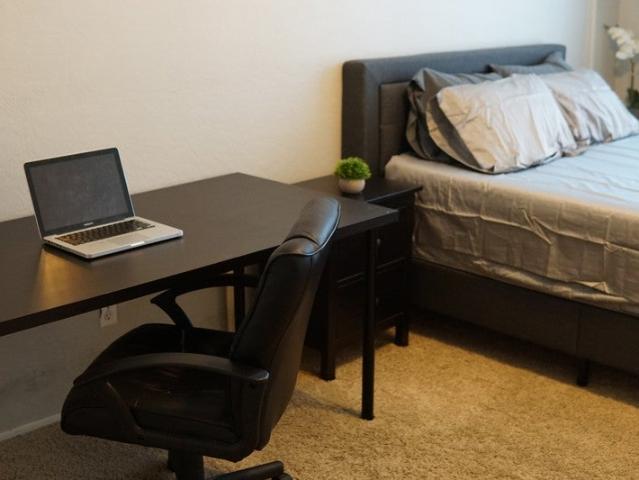 1 Bed 1 Bath