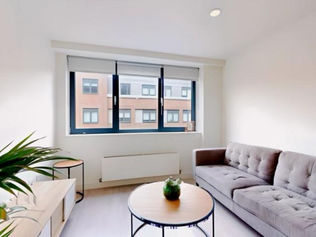 1 Bed 1 Bath