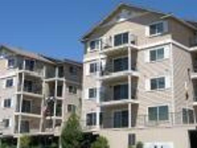 1 bed 1 bath, $599.00 in Reno