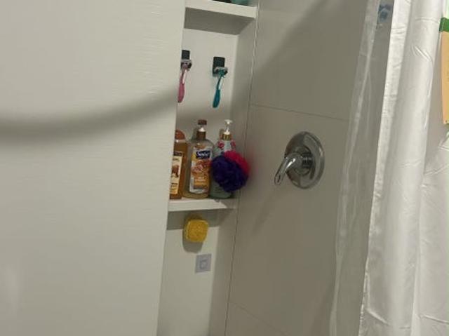 1 bed 1 bath