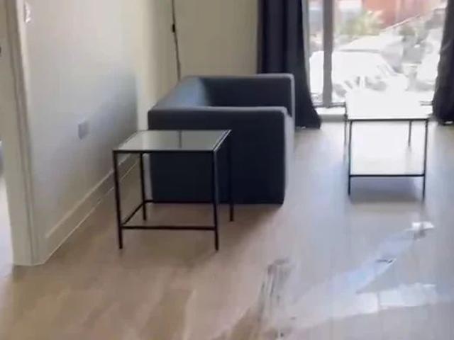 1 Bed 1 bath