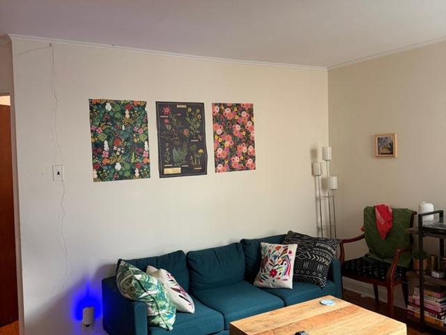 1 bed 1 bath apartment