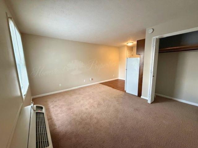 1 Bed 1 Bath on Lemay Dr