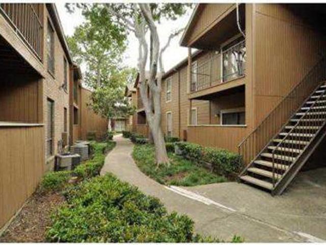 1 Bed Westchase Ranch