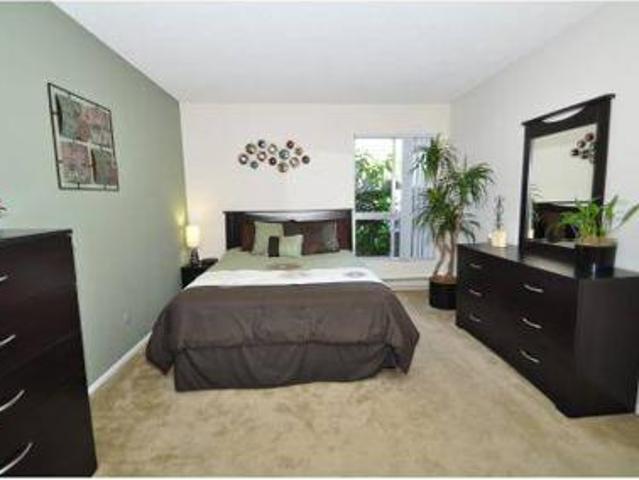 1 Bed Bay Pointe