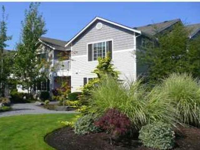 1 Bed Cavalla Apartment Homes