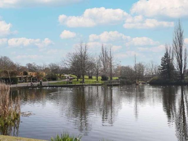 1 bed flat for sale
