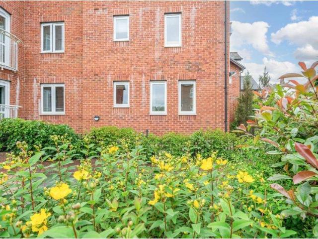 1 bed flat for sale