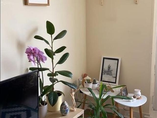 1 Bed Flat, Springfield Court, M3