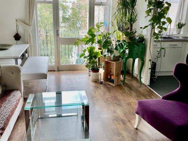 1 Bed Flat, Tudor Road, E9