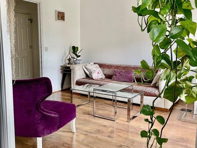 1 Bed Flat, Tudor Road, E9