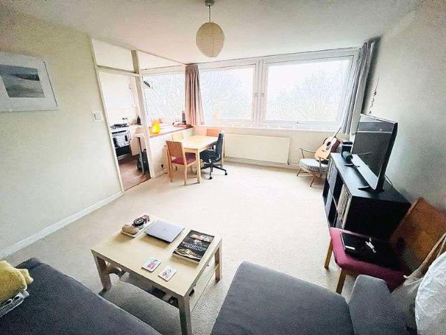 1 bed flat to rent