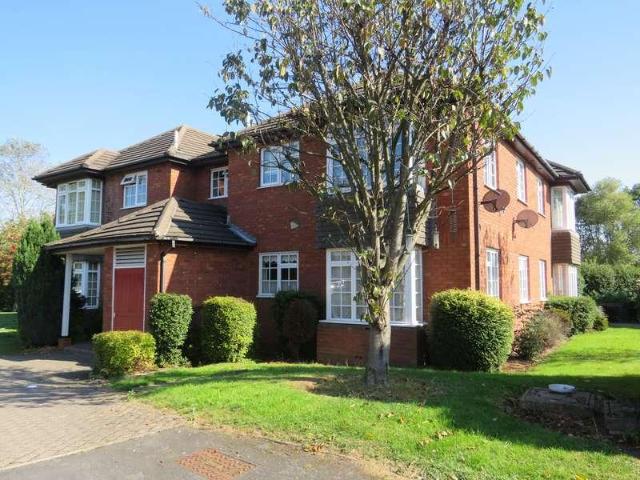 1 bed flat to rent