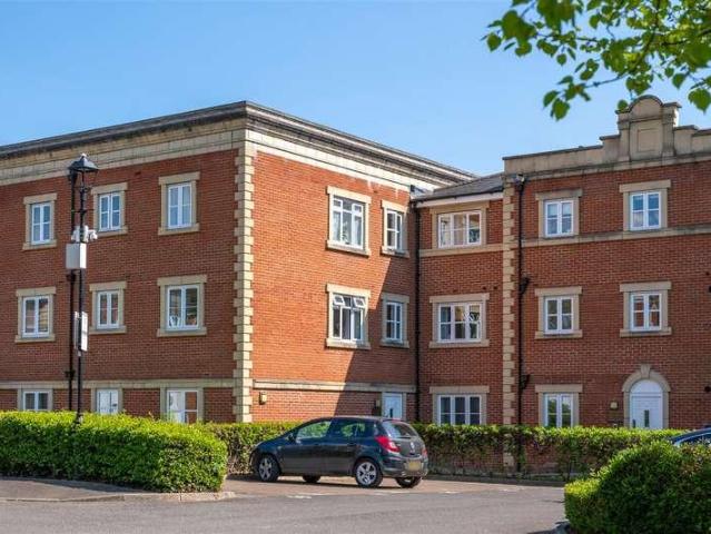 1 bed flat to rent