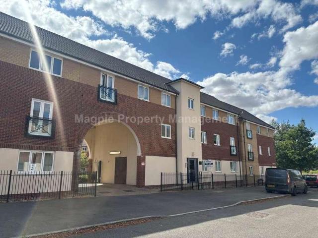 1 bed flat to rent