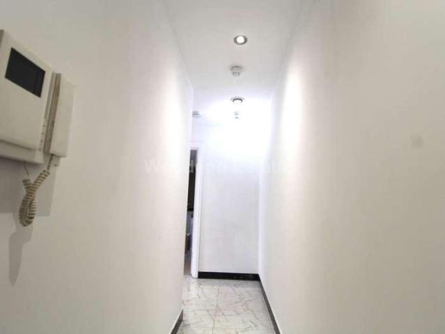 1 bed flat to rent