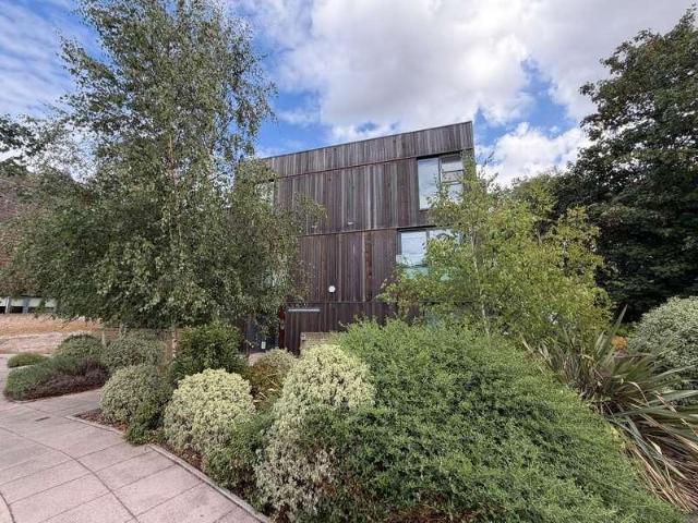 1 bed flat to rent