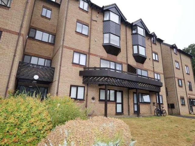 1 bed flat to rent