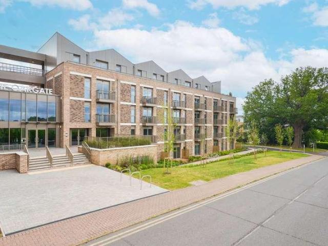 1 bed flat to rent