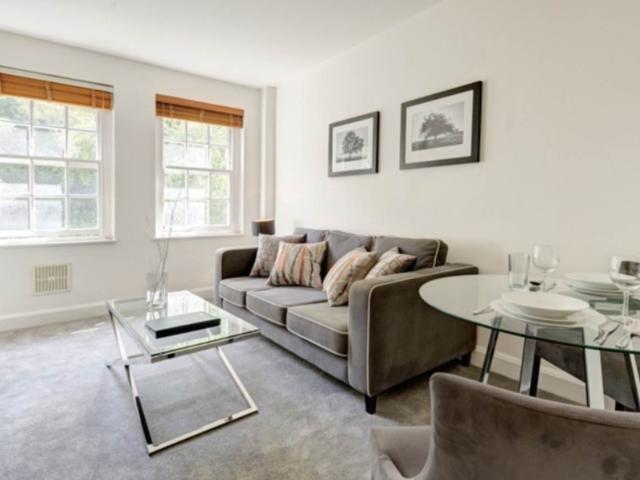 1 bed flat to rent