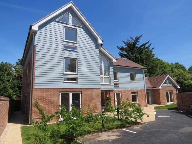 1 bed flat to rent