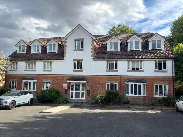 1 bed flat to rent