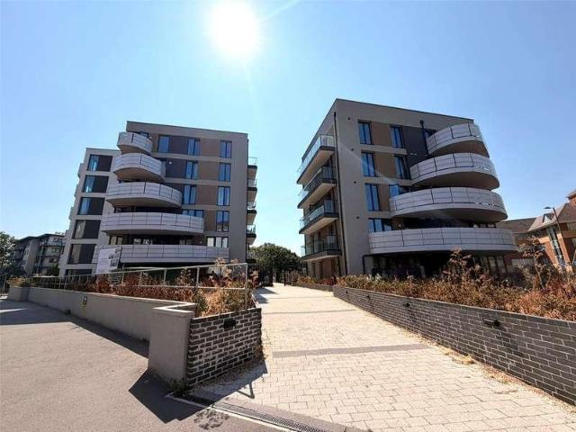1 bed flat to rent